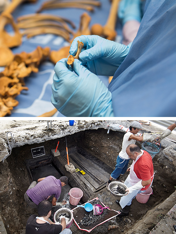 Public Seminar: Humanitarian Forensics – Application Today and Emerging ...